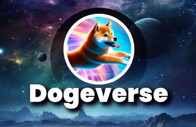 Dogeverse best new multi-chain cryptocurrency - Tonraffles