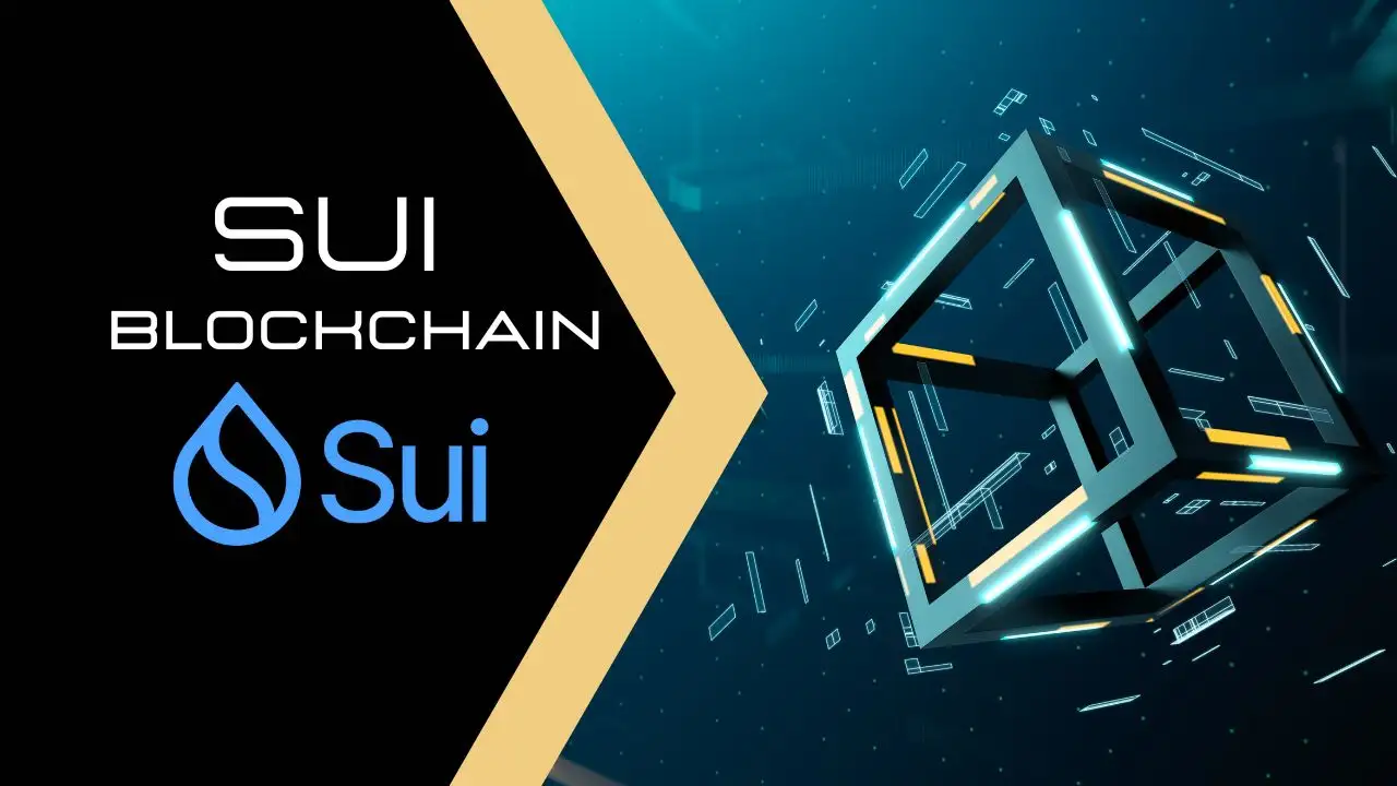What is the Sui Blockchain? Detailed Insights - Tonraffles